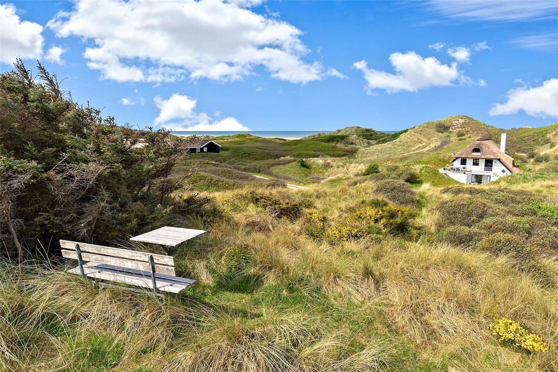 Beach holiday home - BL116 Saltum, Blokhus